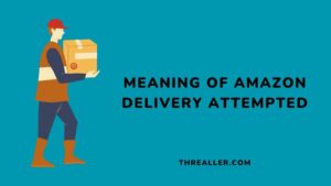 Amazon Delivery Attempted: Meaning, Factors Responsible & Optimization ...