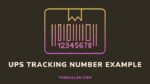 UPS Tracking Number Example Per Shipping Option - threaller